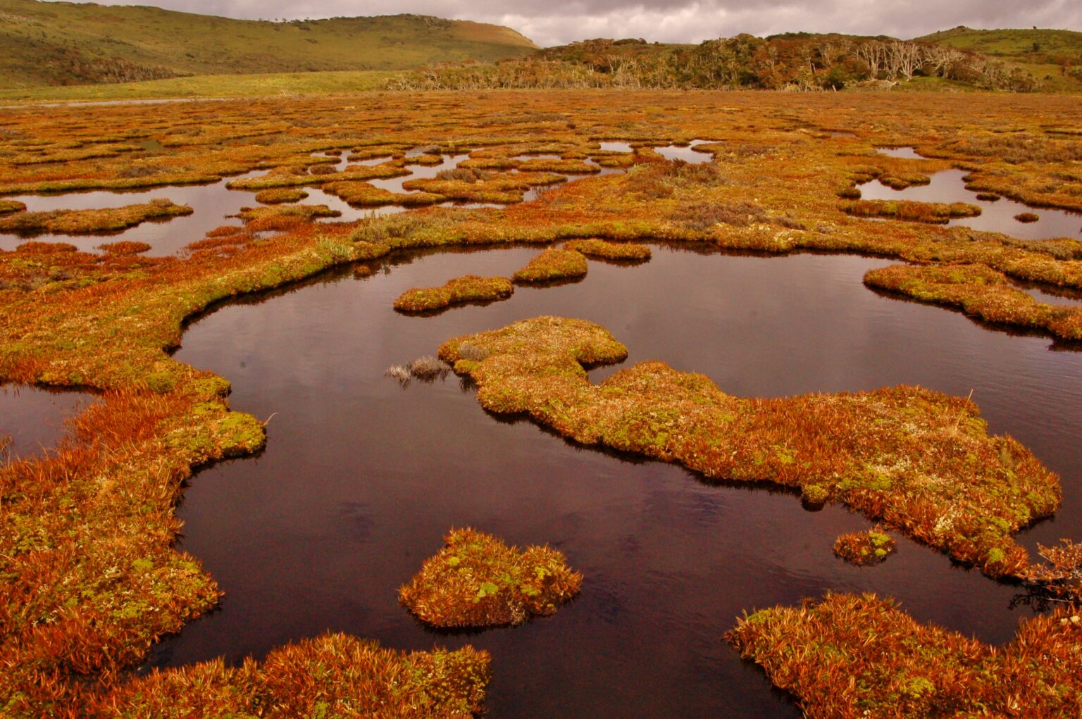 What are wetlands? - Wetlands International LAC