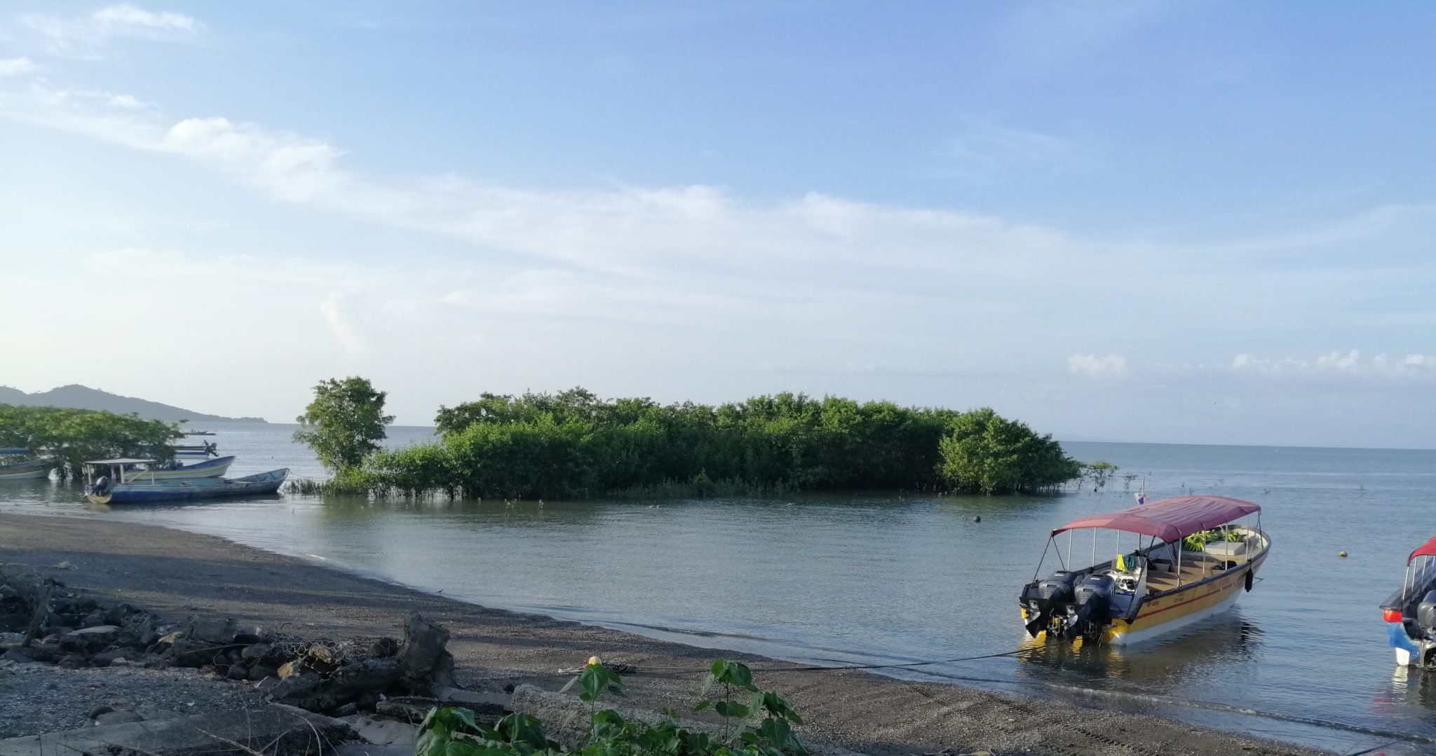 Proyecto “Diagnóstico de la situación de la pérdida de la línea costera ...
