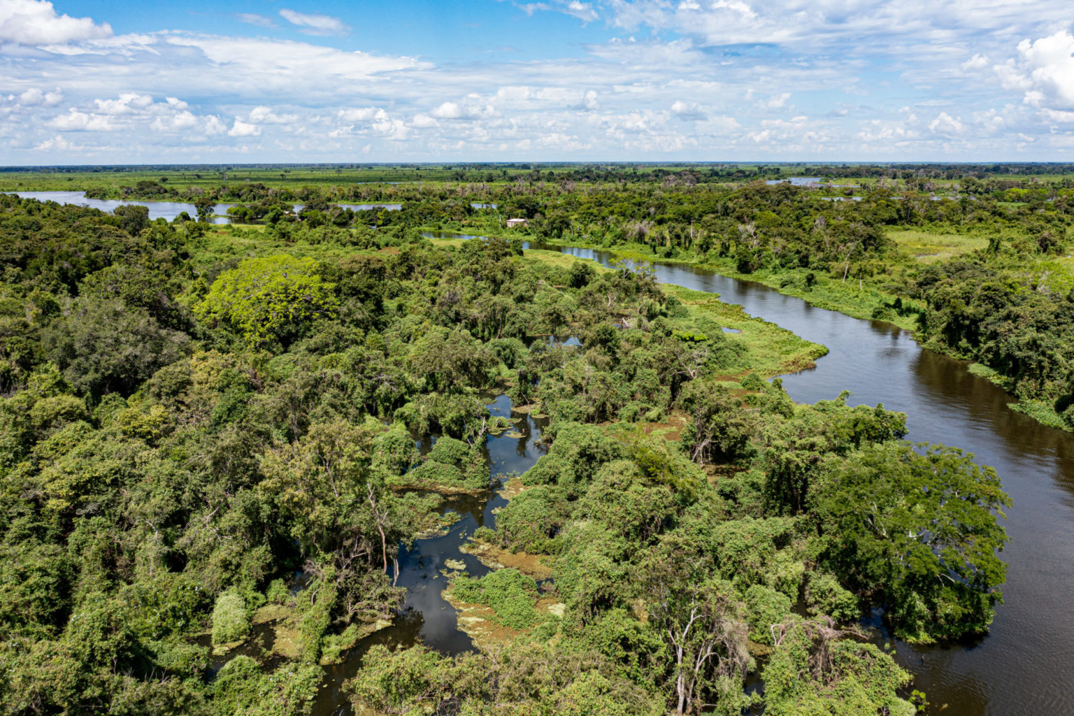 The AquaREla Pantanal, scientific and traditional knowledge for the ...