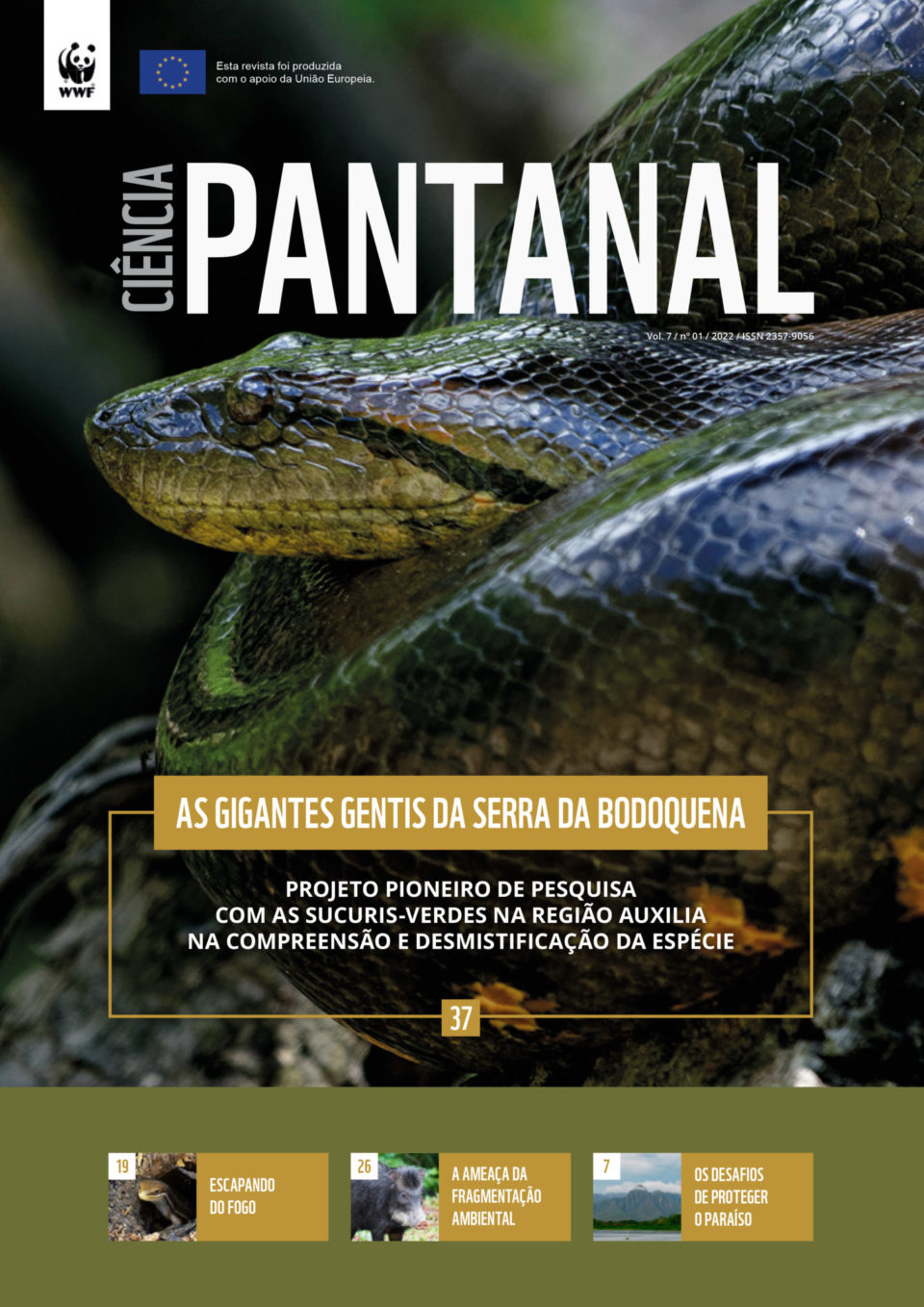 Sétima edição da revista Ciência Pantanal traz artigos sobre o Pantanal ...